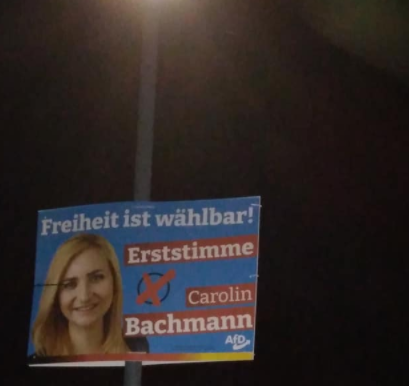 Carolin Bachmann und ihr Team im Wahlkampf: Tausende Plakate ...